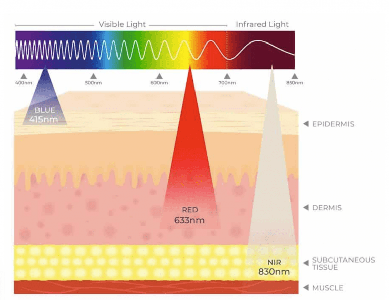 Fototerapia LED: el tratamiento facial efecto piel joven | Srta Palo